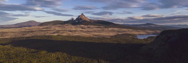 Unsplash- Natural History | Center for Integrative Biological Collections